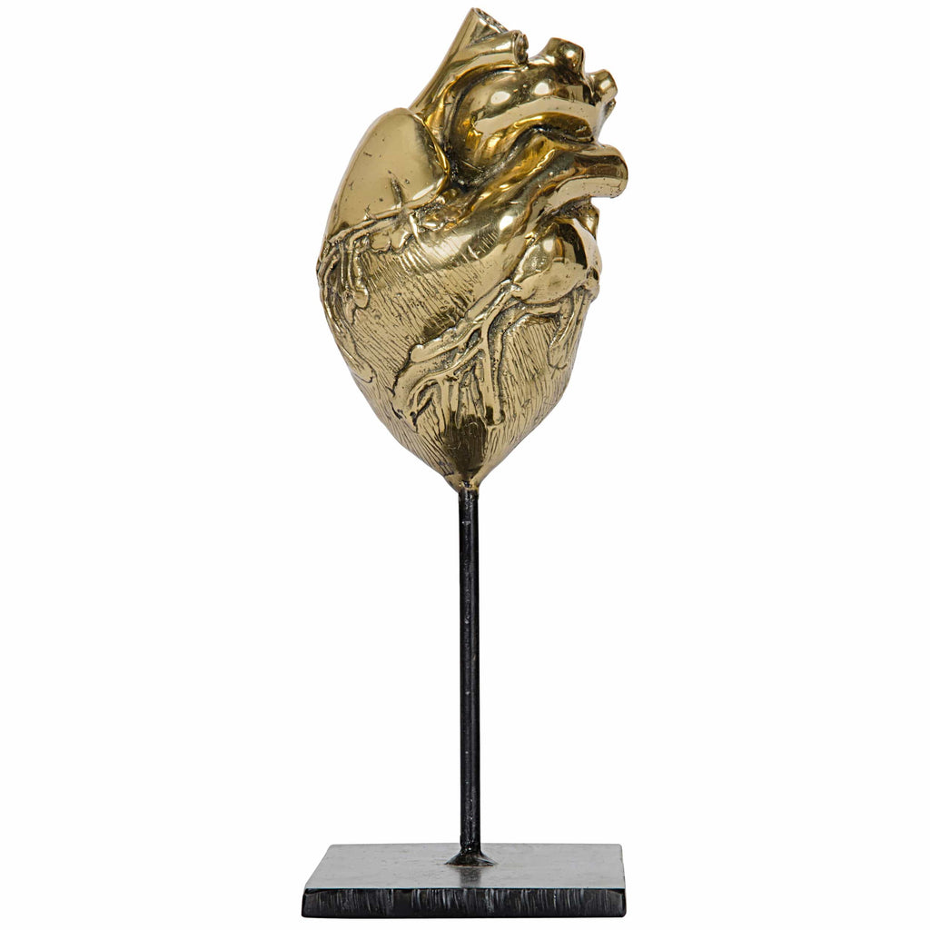 Anatomical Heart on Stand, Brass – High Fashion Home