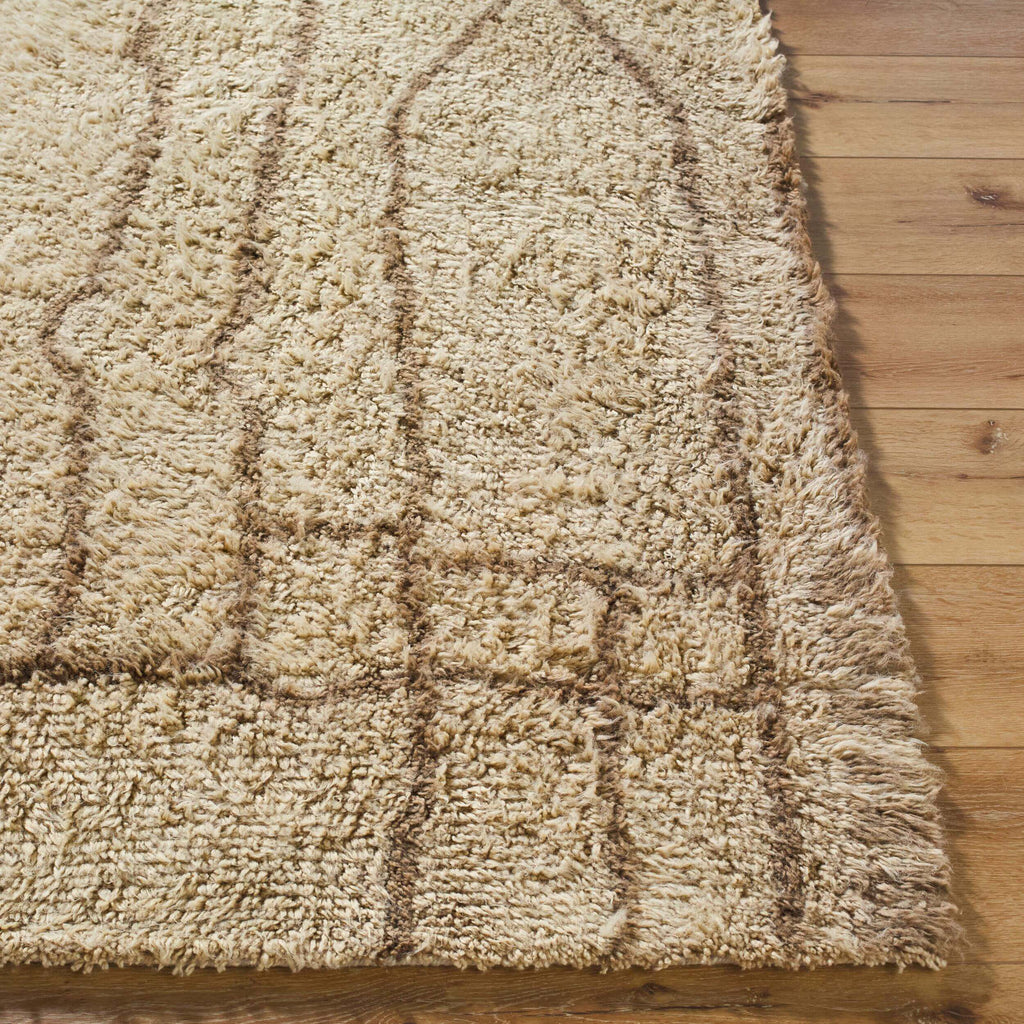 Surya Livabliss Rug Beni BMC-2309, Brown/Camel – High Fashion Home