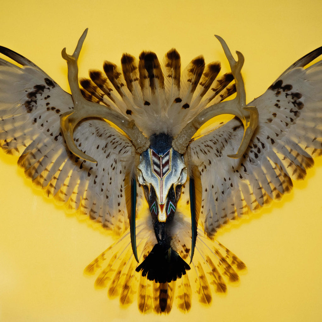 Sundancer Yellow by Boyd Elder – High Fashion Home