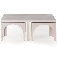 Amara Coffee Table w/Nesting Arch – High Fashion Home