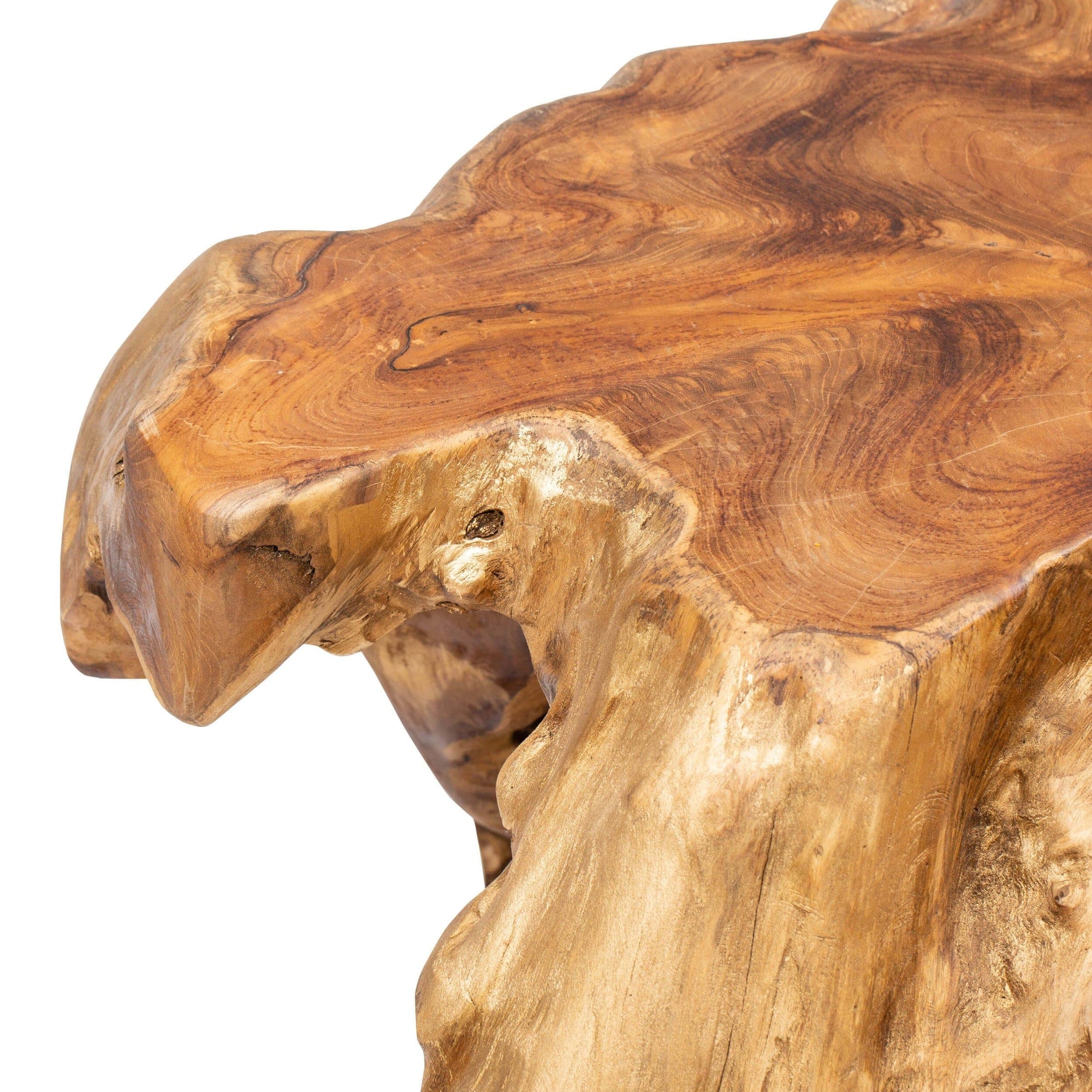 Teak Root Coffee Table – High Fashion Home